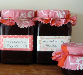 Kate's Amazing Gooseberry Sauce Recipe - Completeness